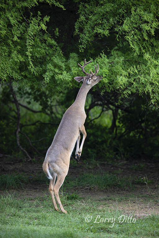 September | 2019 | Larry Ditto Nature Photography